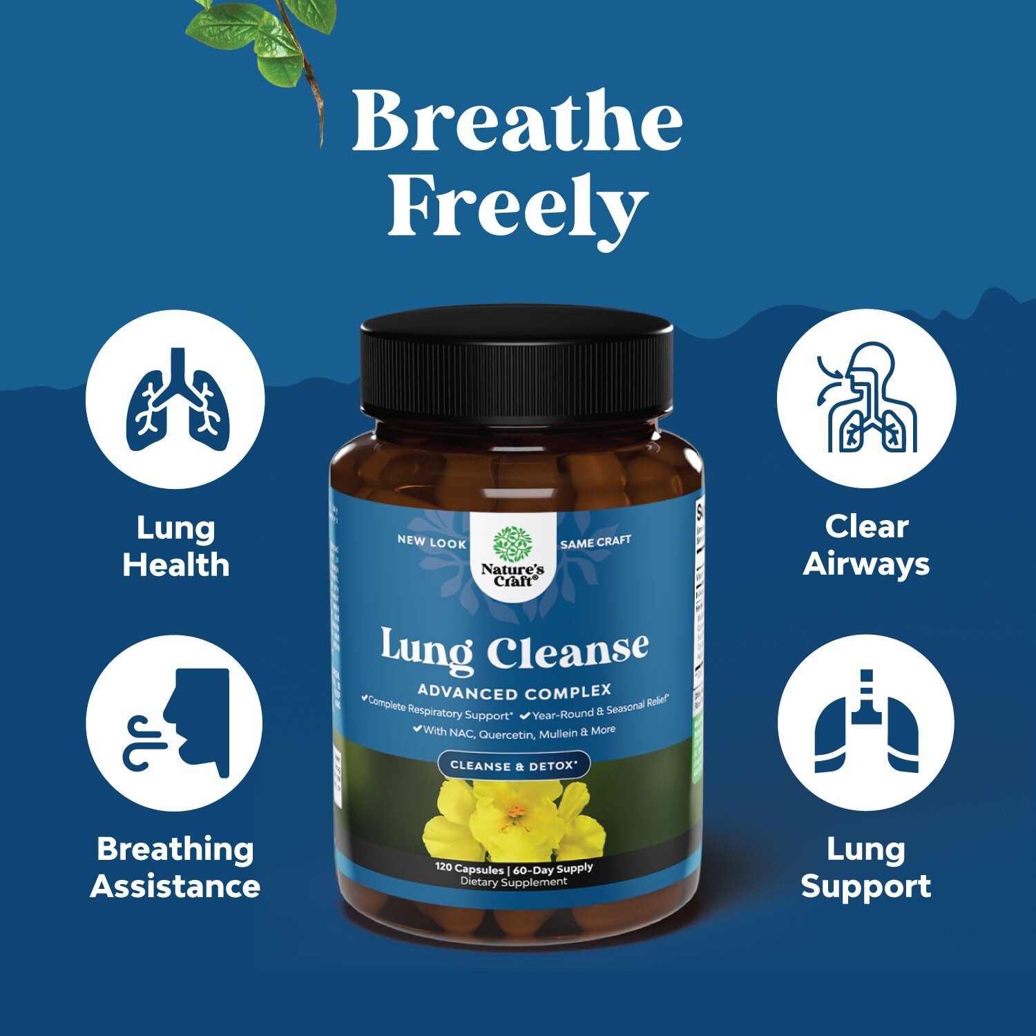 Lung Detox Mullein Leaf Capsules - Purifying Mullein Lung Cleanse ...