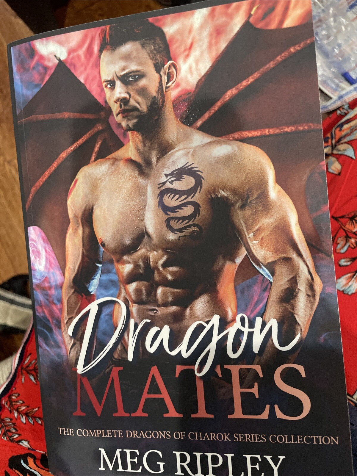 Dragon Mates Book | eBay