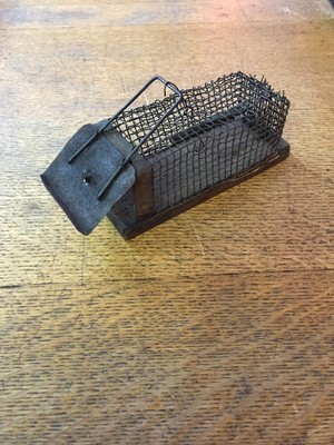 Primitives - Mouse Trap