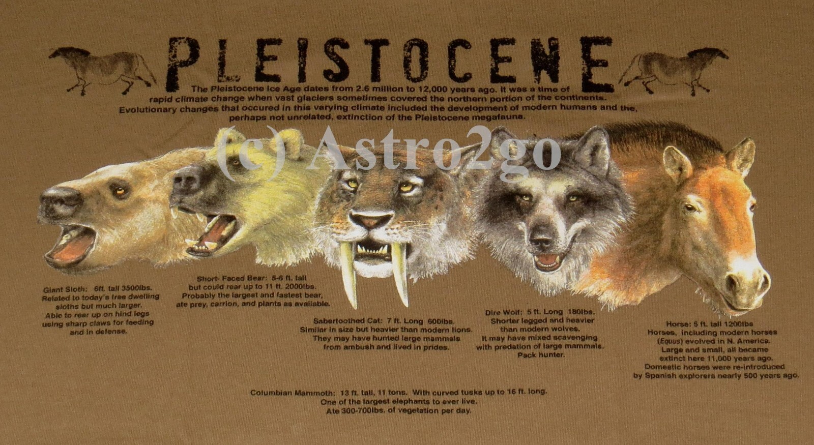 Pleistocene Animals