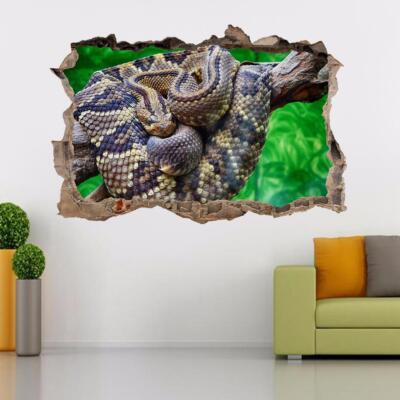 Rattlesnake Snake Smashed Wall Decal Graphic Sticker Art Mural Animals ...