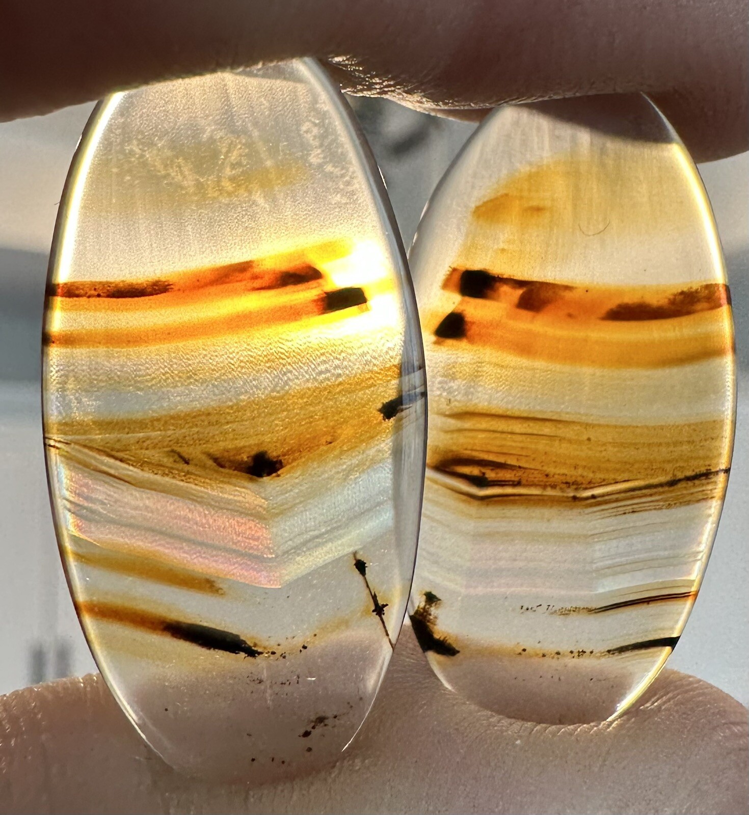 Pair Of Montana moss agate iris Polished Pieces | eBay