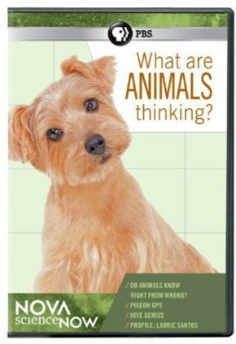 Nova Science Now: What Are Animals Thinking? 841887018098| eBay