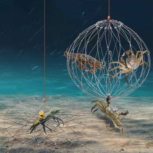 Catching Efficiency Boosted by Automatic Underwater Fishing Net Design ...