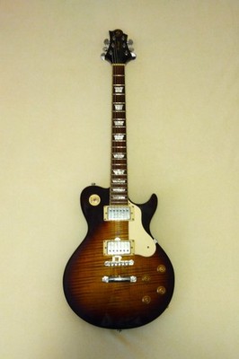 Samick Avion Electric Guitar – Greg Bennett Design | eBay