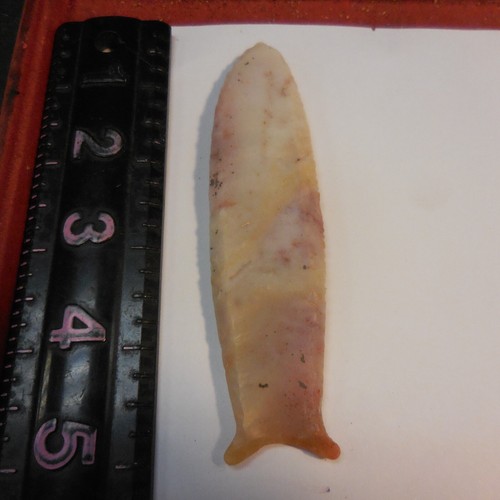 COLORFUL FLORIDA CORAL FLUTED CUMBERLAND POINT--CLASSIC FORM AND ...