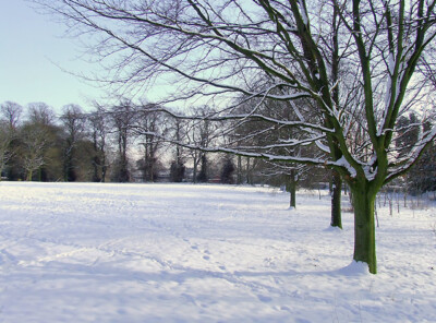 Photo 6x4 Muchall Park in Penn (winter), Wolverhampton Sedgley The same ...