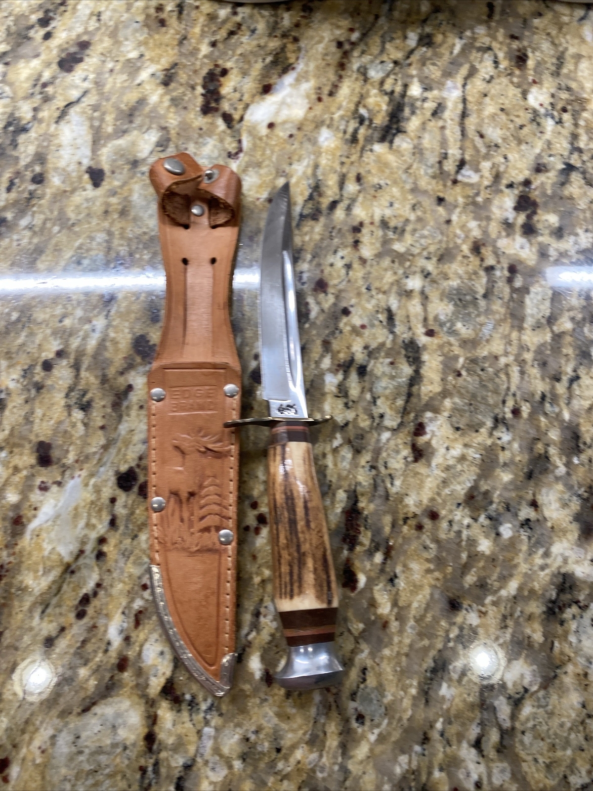 Vintage Germany Solingen Edge Brand Antler Stag Fixed Blade Hunting ...