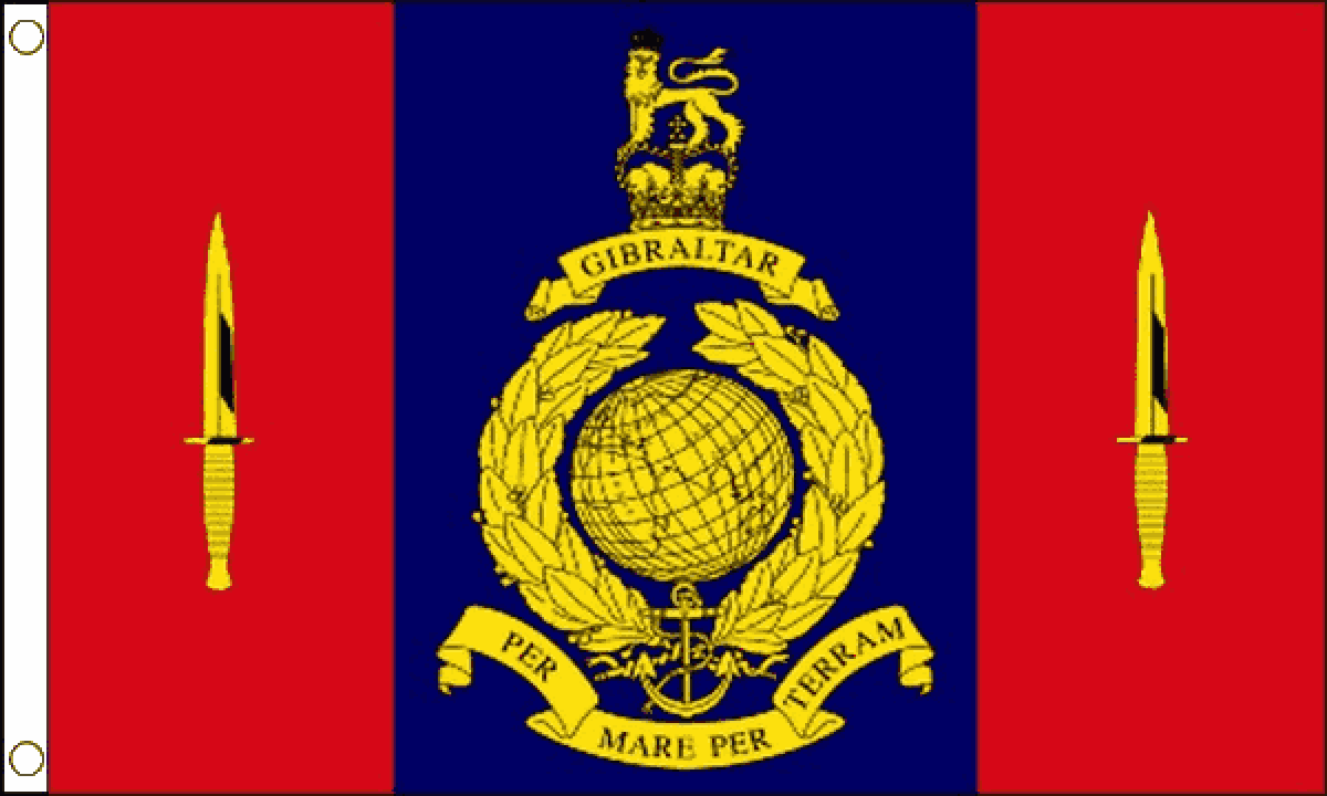British Army Armed Forces Regimental Flags RAF Para Marines Military ...