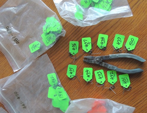 Small Mammal Ear Tags for Research, National Band and Tag #1 Metal ...
