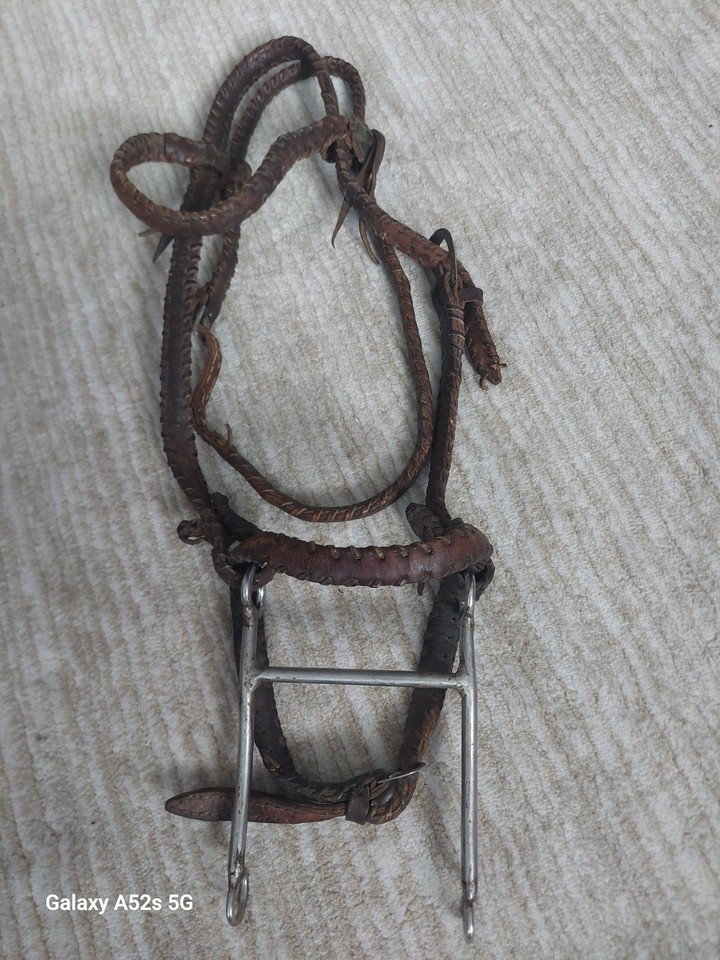 Great hand made horse headstall and bit nickel silver and conchos ...