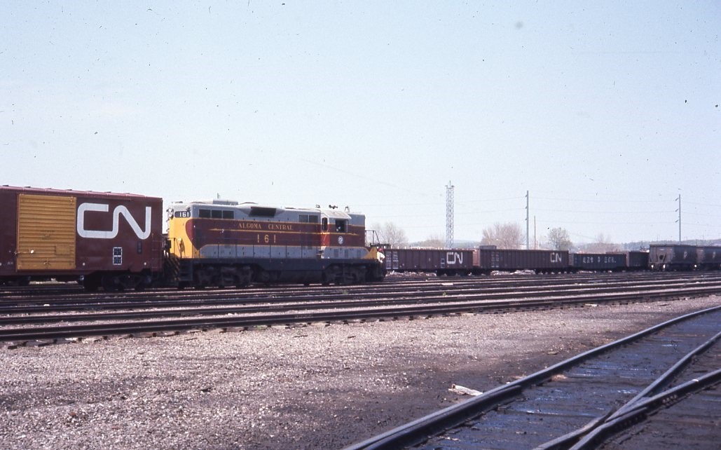 ALGOMA CENTRAL CN Railroad Locomotive 161 Canada Original 1977 Photo ...