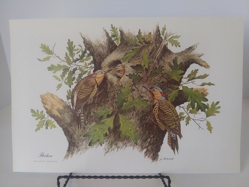 1970s James Lockhart Wildlife Art Lot (6 Items) | eBay