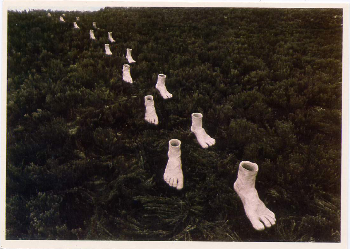 16 FT. Self-Portrait •Photograph by Jim Haberman 1982•Fantasy POSTCARD ...