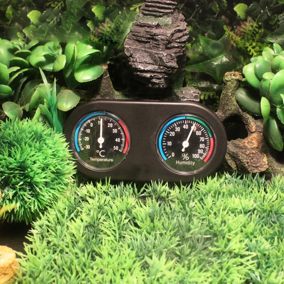 Pet Supplies Insects Reptile Terrarium Box Thermometers Spider ...
