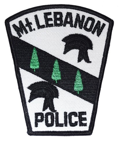MT LEBANON PENNSYLVANIA PA Police Patch VIKING EVERGREEN VINTAGE OLD ...
