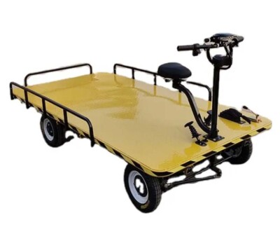 NEU Elektrokarren Plattformwagen Bollerwagen elektrisch 800W Akku ...