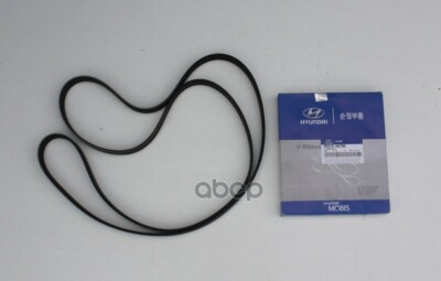 252124A700 Hyundai Vribbed belt 252124A700, New Genuine OEM Part | eBay