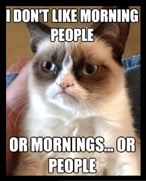 Good Grumpy Cat