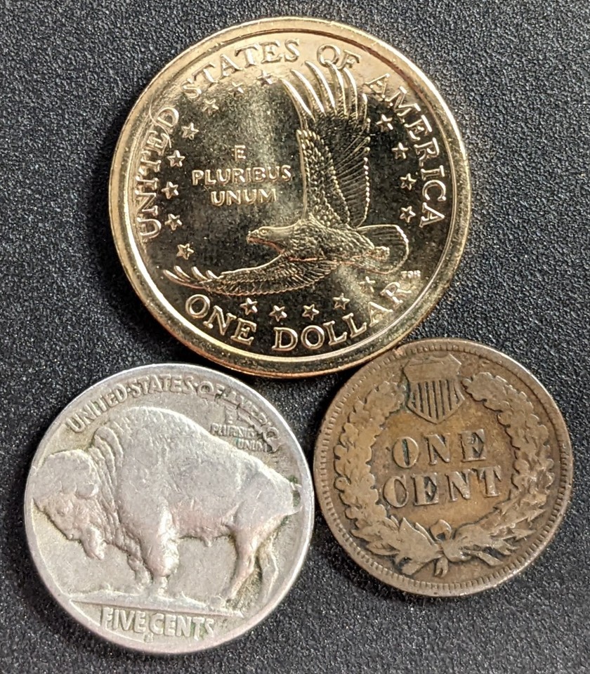 Native American Coin Collection Sacagawea Dollar Indian Head Cent ...