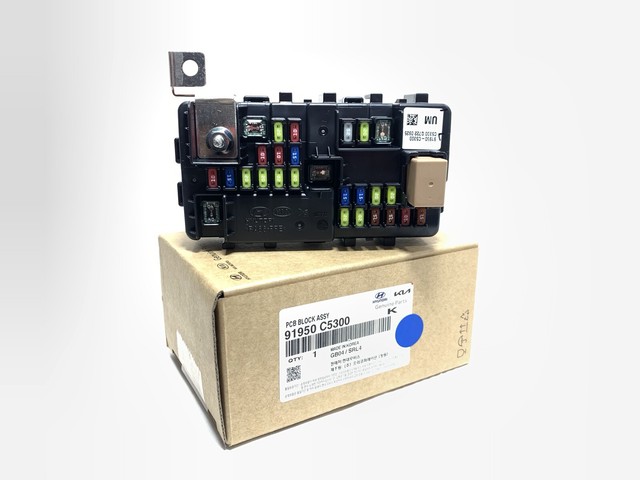 Genuine OEM Fuse and Relay Center for Kia 91950C5300 for sale online | eBay