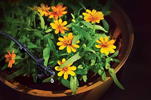 Ts25/10ps Drip Irrigation 1/4" Tubing Stake With Bug Cap Diffuser And ...