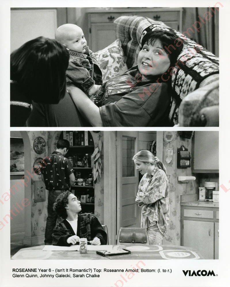 Johnny Galecki On Roseanne Pictures Popsugar