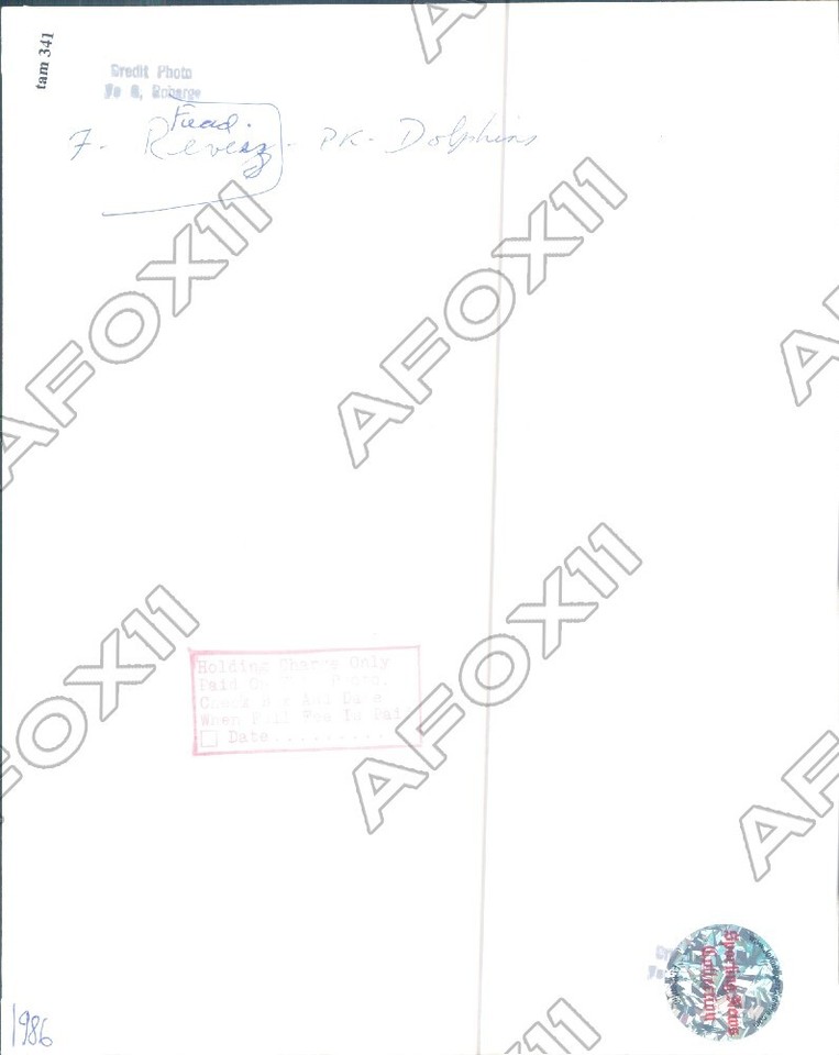 Miami Dolphins Professional Football Kicker Fuad Reveiz Press Photo | eBay