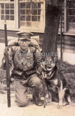 WW2 Picture Photo Japanese Soldier with War Dog German Shepherd 6084 | eBay
