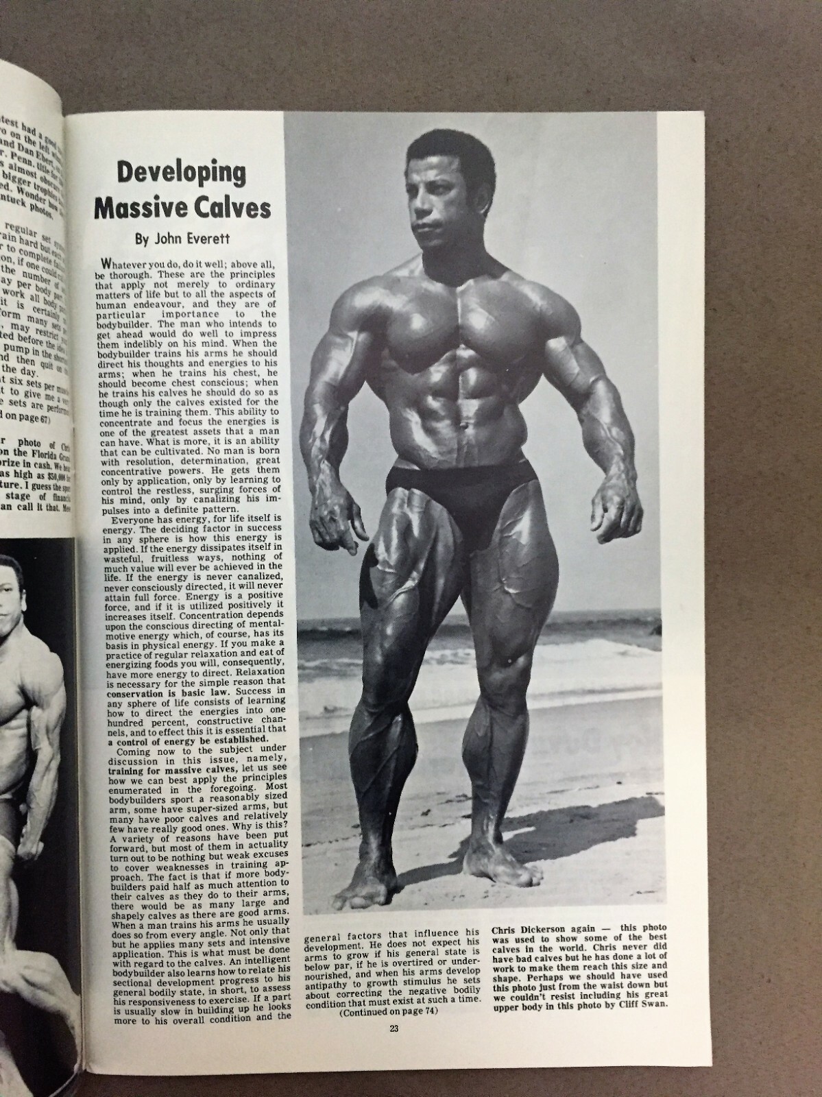 IronMan Bodybuilding Muscle Magazine / Zarif Chaban + Larry Pacifico ...