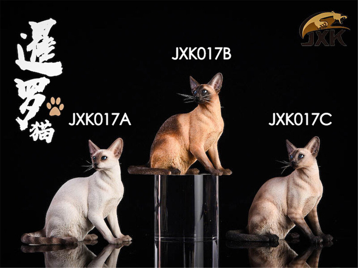 JxK 1:6 Scale Siamese Cat Model Pet Animal Collection Decoration ...
