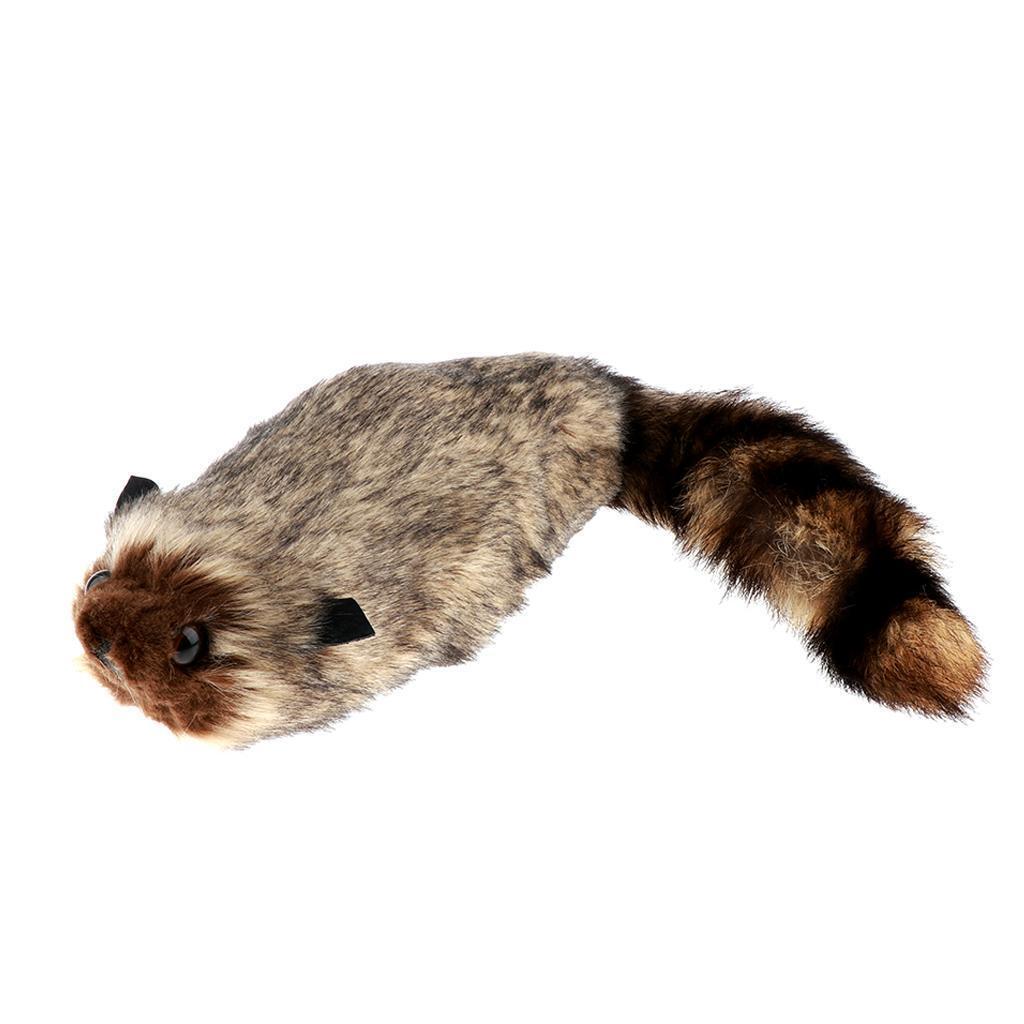 Raccoon Trick Close-Up Stage Props Artificial Raccoon | eBay