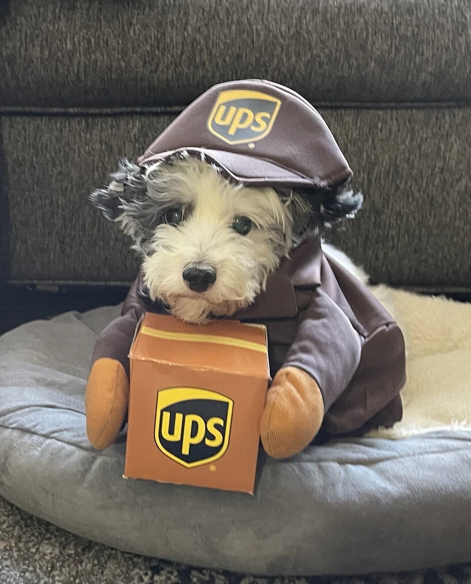 Ups Delivery Costume