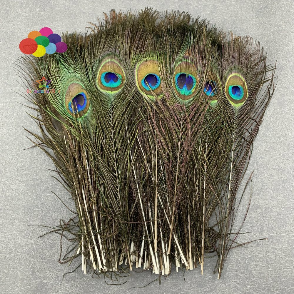 Diy Peacock Feather Wall Art