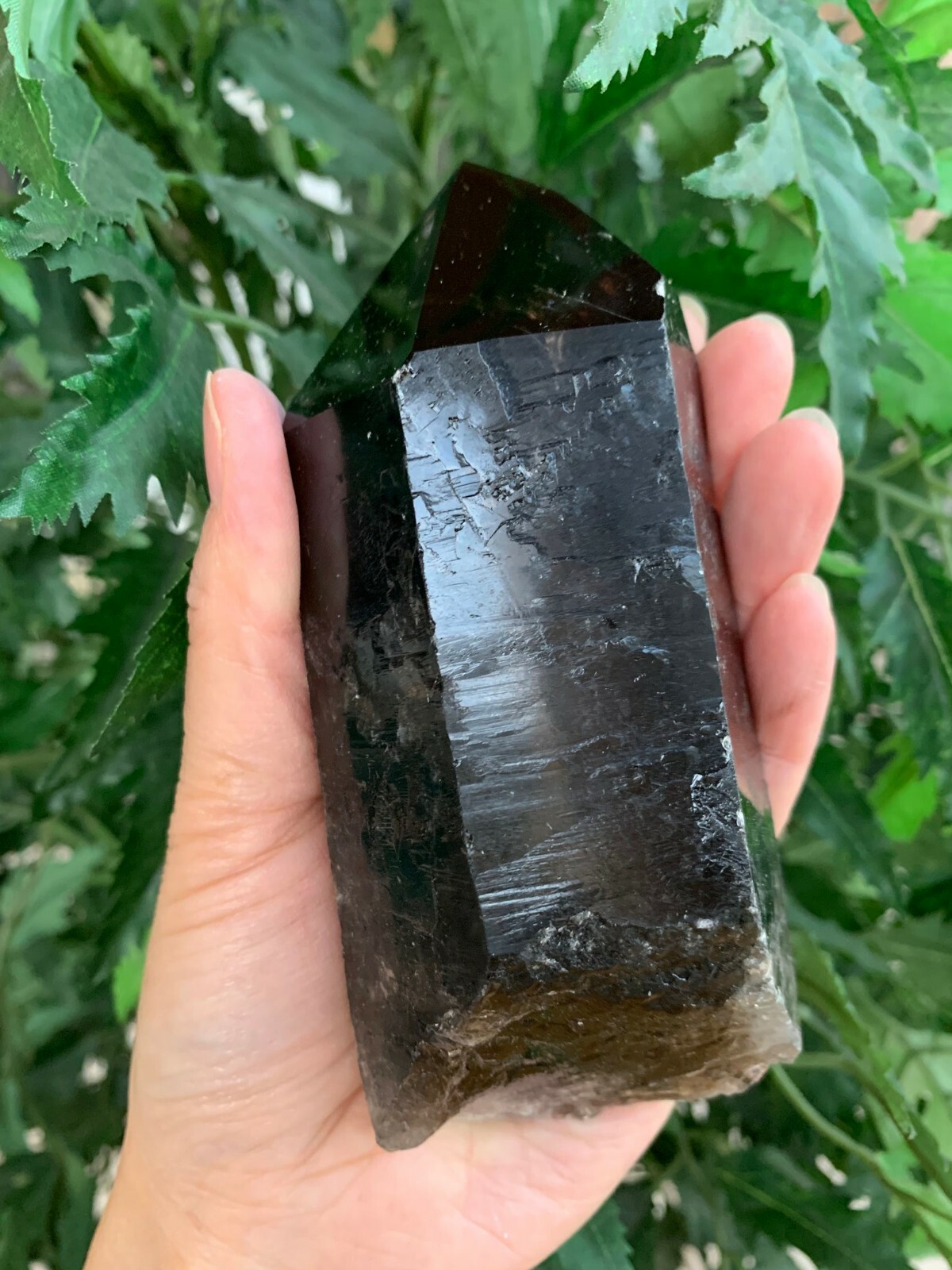 Extra Large Natural Smoky Quartz Crystal Points, 2-3 Inches Smoky ...