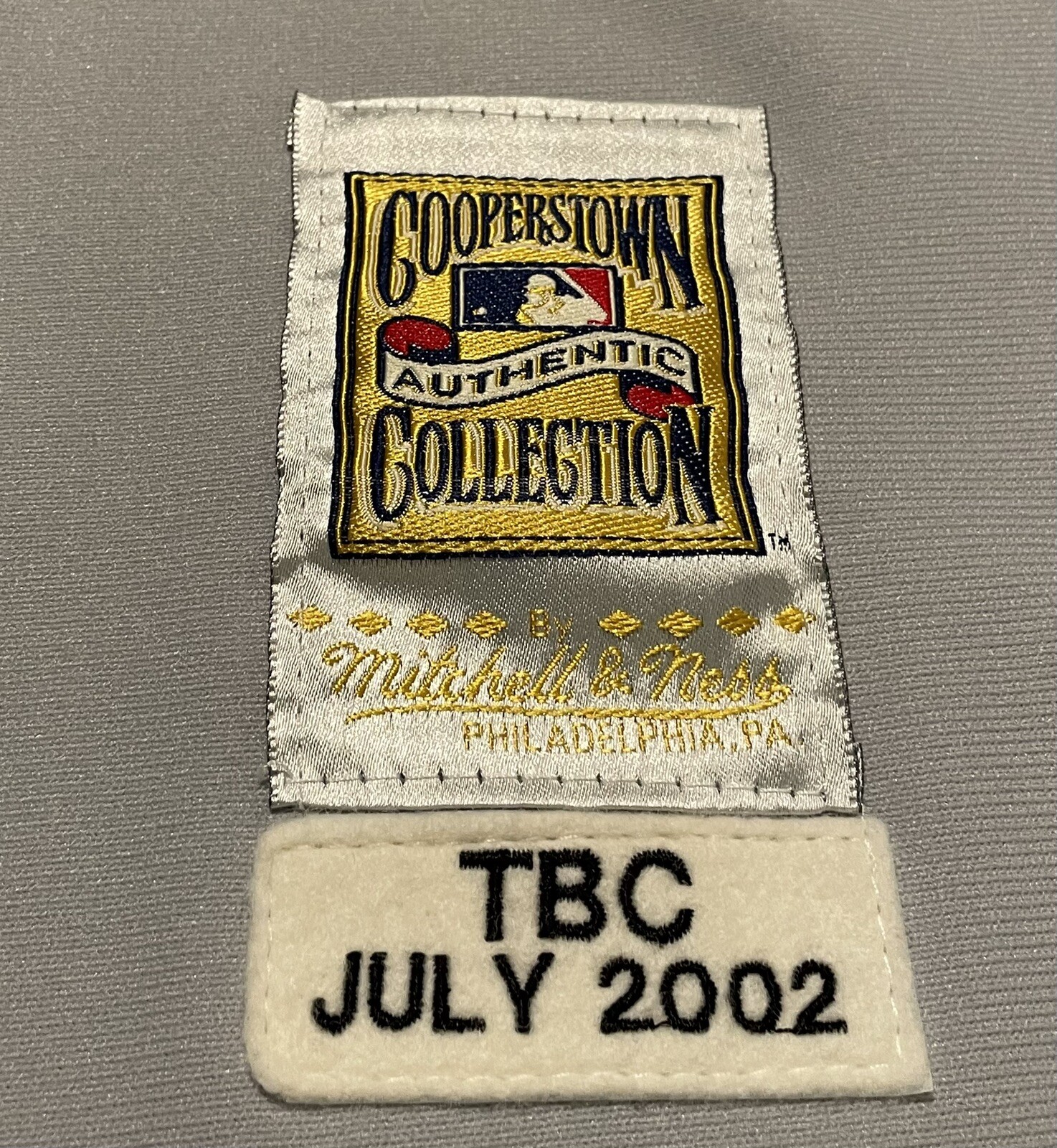 Authentic Mitchell & Ness 2002 TBTC Florida Marlins Nate Teut Jersey | eBay