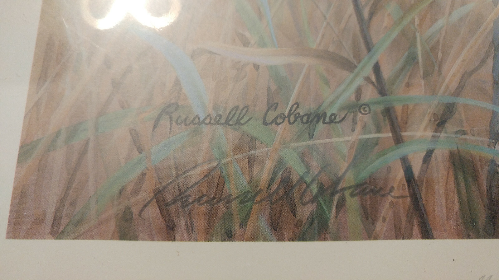 Russell Cobane Milkweeds In Flight Art Print Limited # 20 of 250 Signed ...