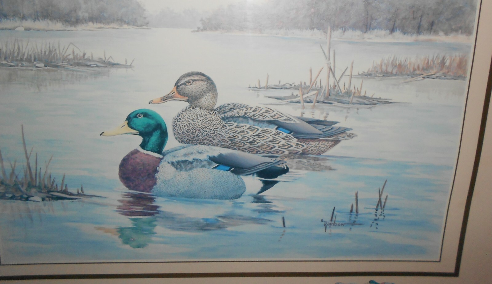Framed Print "Ducks" by E Rambow | eBay