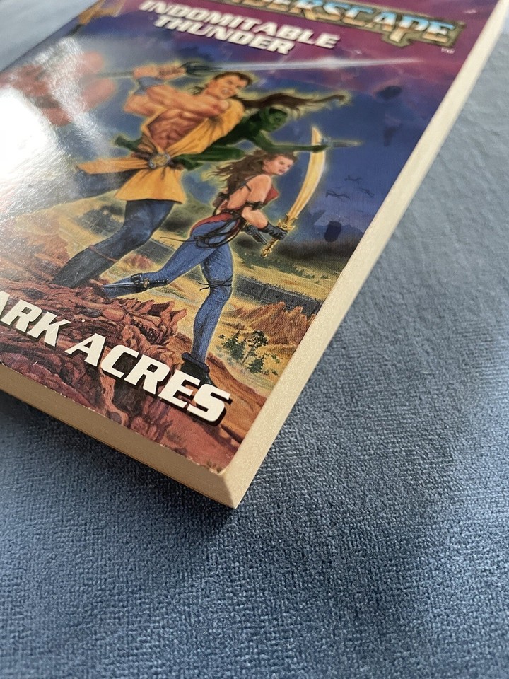 Mark Acres THUNDERSCAPE Indomitable Thunder paperback book 1996 World ...