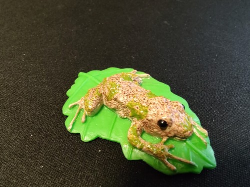 YOWIE Mutable Rain Frog Animals with Superpowers Collection 2.2" Animal ...