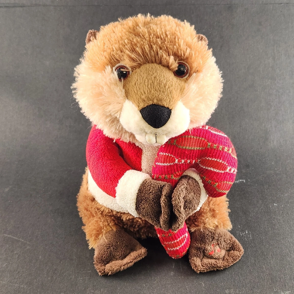 Justin Bieber As A Beaver