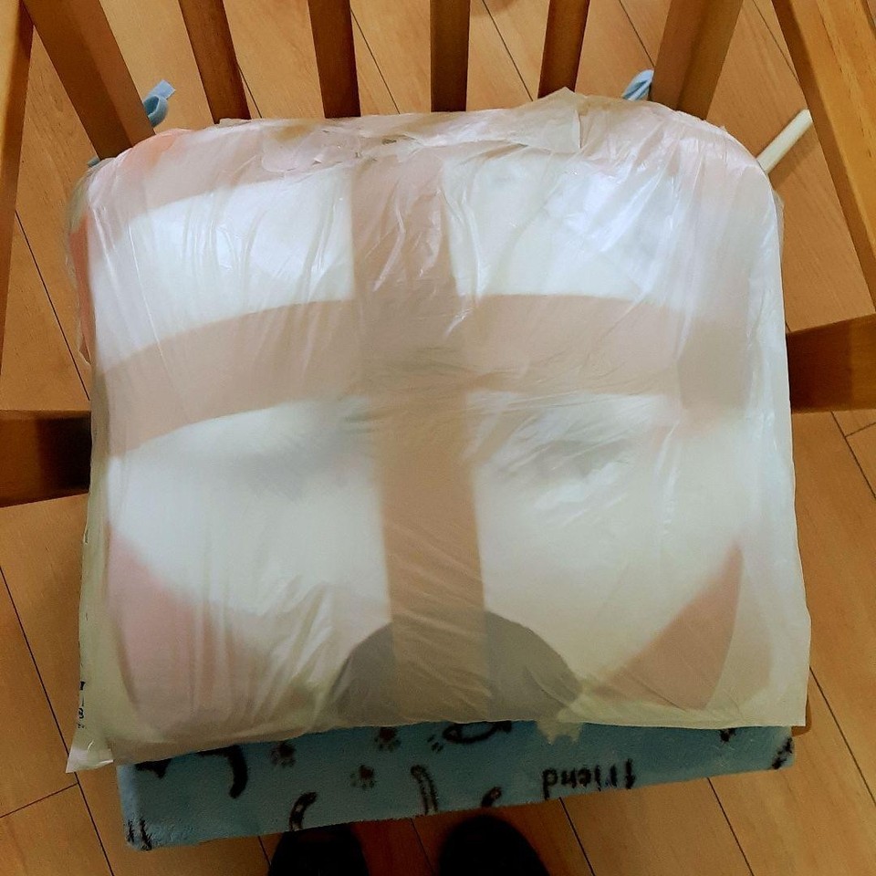 [Dandadan] Turbo hag beckoning cat | eBay