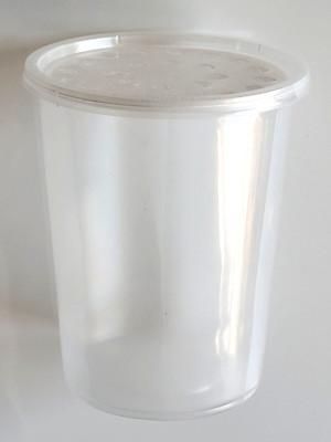 32oz Round Clear Deli Cup with Poly Fabric lid - Ideal for Fruit Flies ...