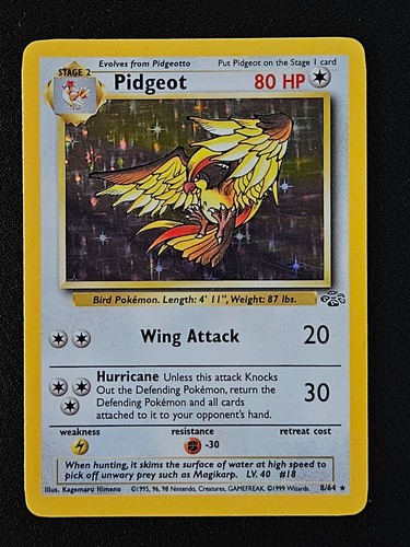 Pidgeot 8/64 Holo Rare Pokémon 1999 WOTC Jungle Set | eBay