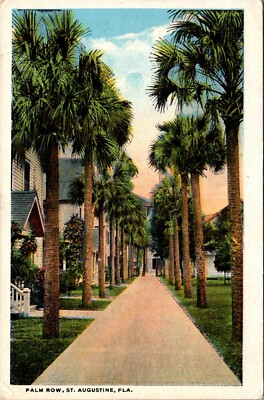 Palm Row St. Augustine Florida Postcard | eBay