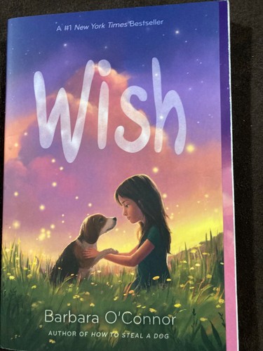 Wish by Barbara O'Connor (2016, Paperback) | eBay