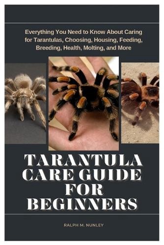 Tarantula Care Guide for Beginners: Everything You Need to Know About ...