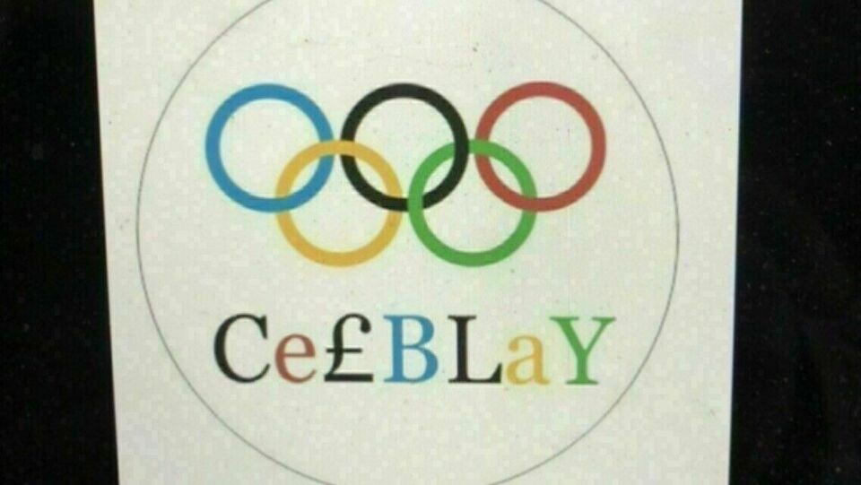 RARE NIFC 2025 KING CHARLES III UNC PUFFIN 20p COIN. MON | eBay