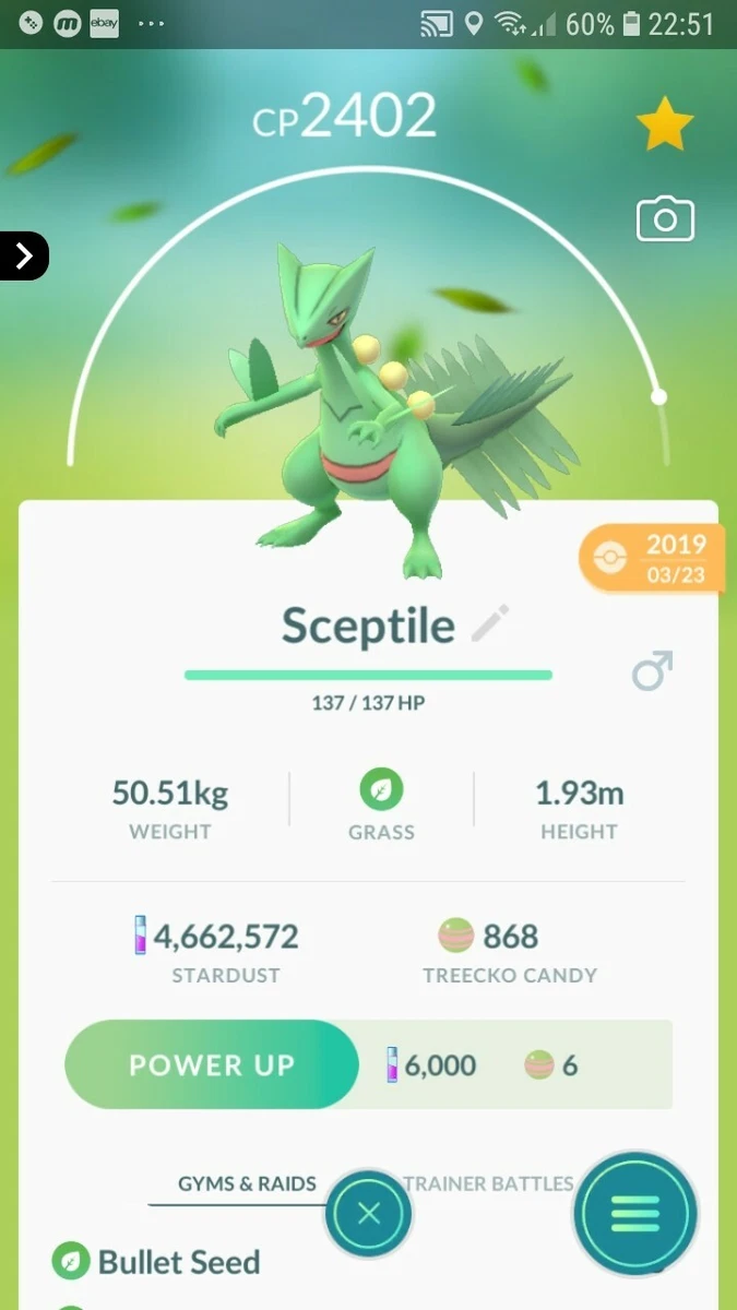 Pokemon Treecko Mega Evolution