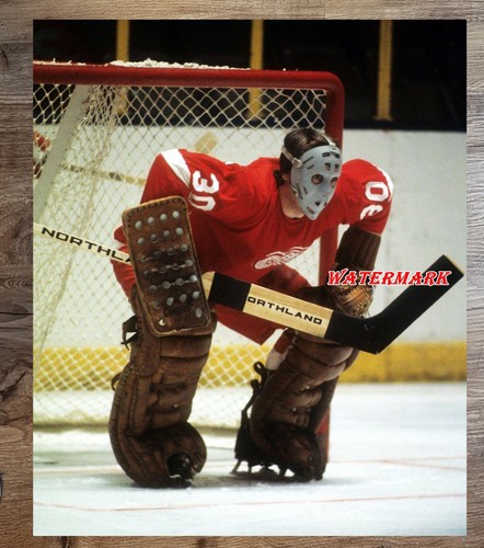 Goalie Al Smith Detroit Red Wings Color 8 X 10 Photo Picture | eBay